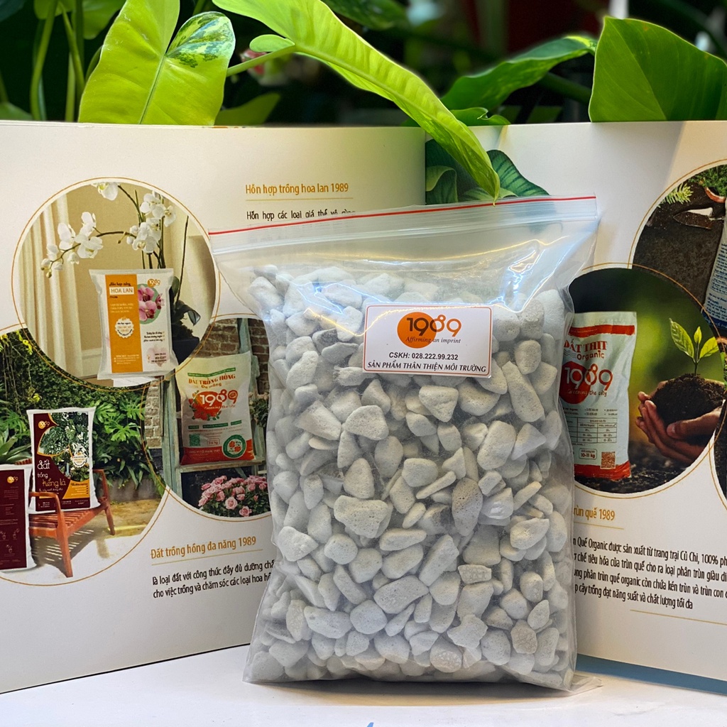 Mua Đá perlite - đá trân châu chuyên sử dụng trồng lan, kiểng ká và các ...