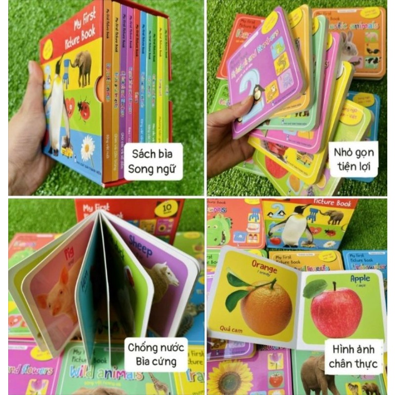 My First Picture Book- Thư viện hình ảnh đầu tiên cho bé 0-6 tuổi nhận ...