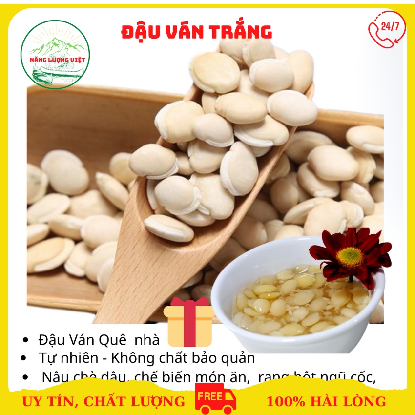 Metric - Nền tảng Số liệu E-commerce