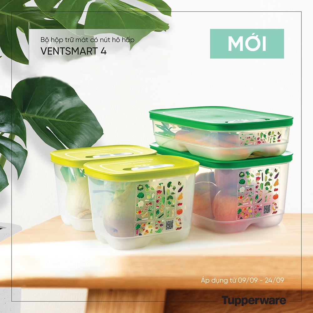 Bộ hộp trữ mát có nút hô hấp Tupperware Ventsmart (Set 4) Mới 2022 ...