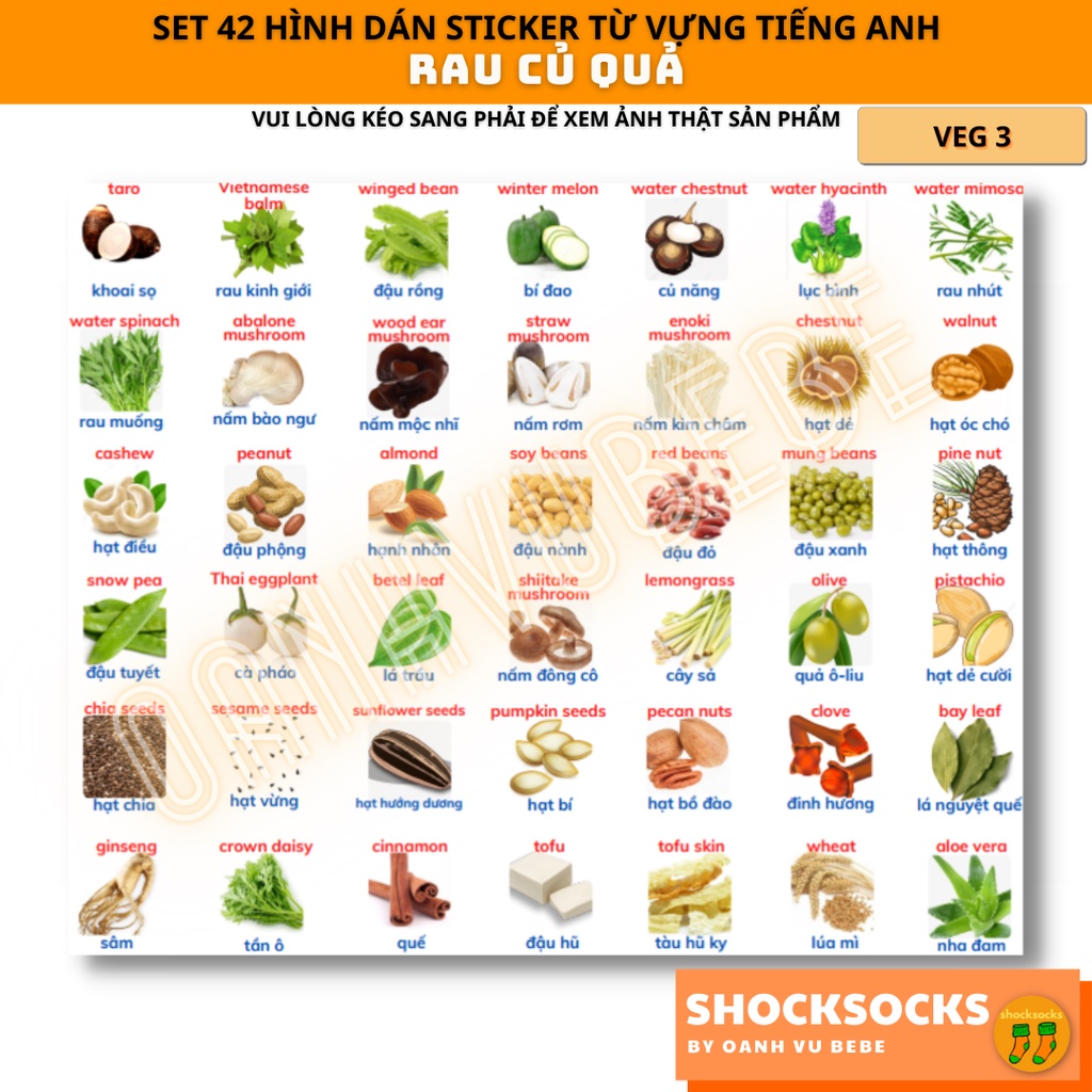 🔥42 hinh dán sticker từ vựng tiếng Anh chủ đề RAU CỦ QUẢ🔥 | HolCim ...