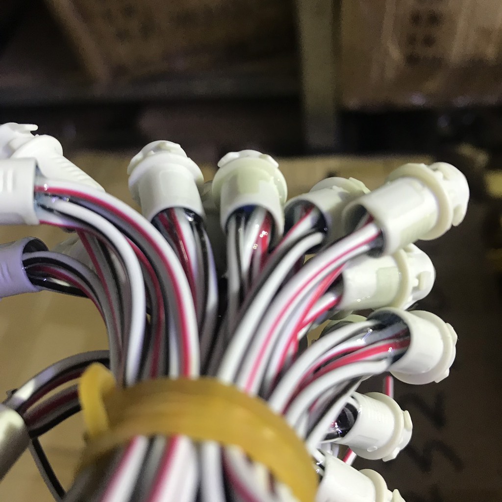 Led đúc F5 phi 8 12V (dây 50 bóng) | Shopee Việt Nam