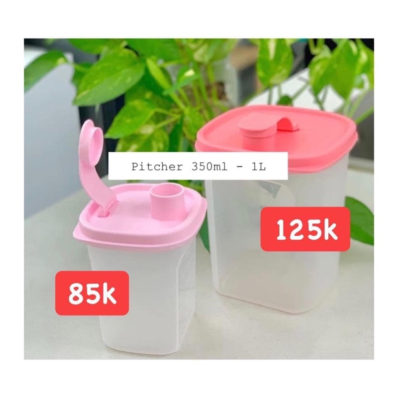 Mua COMBO 2 BÌNH Slim Line Pitcher 1L 1000ml thân trong nắp hồng, đựng ...