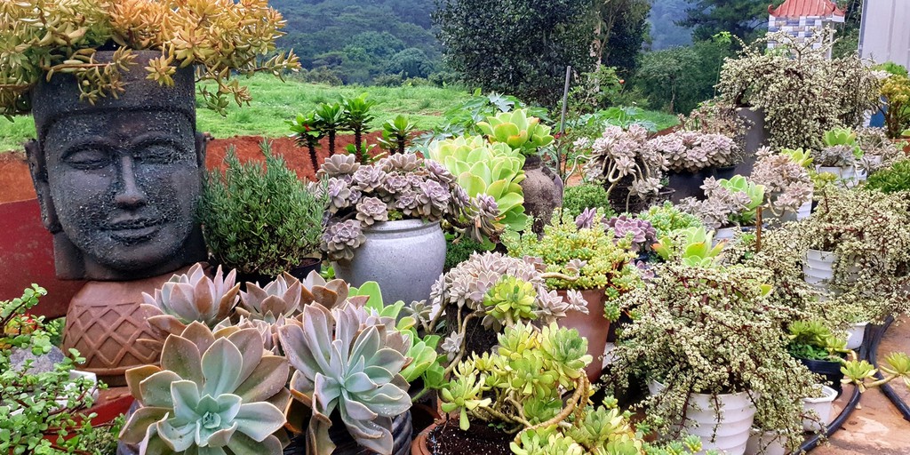 TORO Garden, Cửa hàng trực tuyến | Shopee Việt Nam