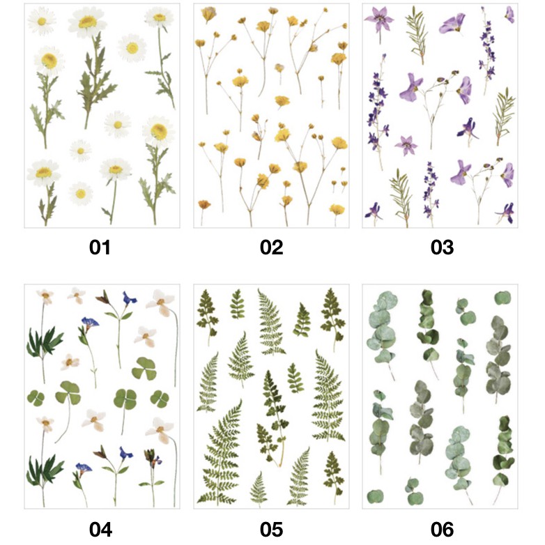 Sticker hoa lá | Shopee Việt Nam