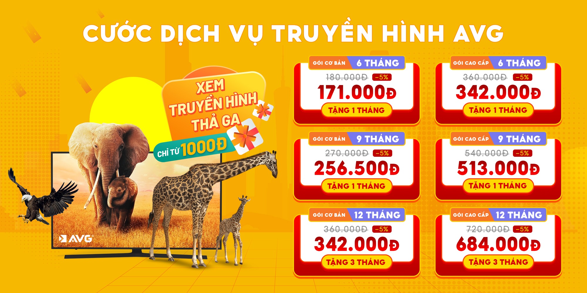 Truyền Hình AVG - Cửa Hàng Online Chính Hãng | Shopee Việt Nam