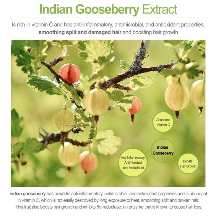 Mua Bình Xịt Nước Siêu Cứng Forest Story Super Hard Water Spray 100ml ...