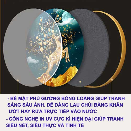 Mua Tranh treo tường tròn tráng gương hoa sen siêu hot năm 2022 đã có ...