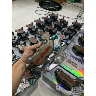 heo adelin mod frando 4 pis | Shopee Việt Nam