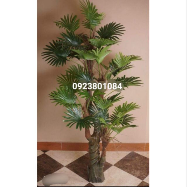 Cây Cọ Giả Cao Cấp cao 1m8 Ảnh thật- Cây Giả | Shopee Việt Nam