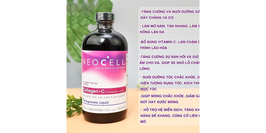 NHÀ THUỐC AMIPHARMA, Cửa hàng trực tuyến | Shopee Việt Nam