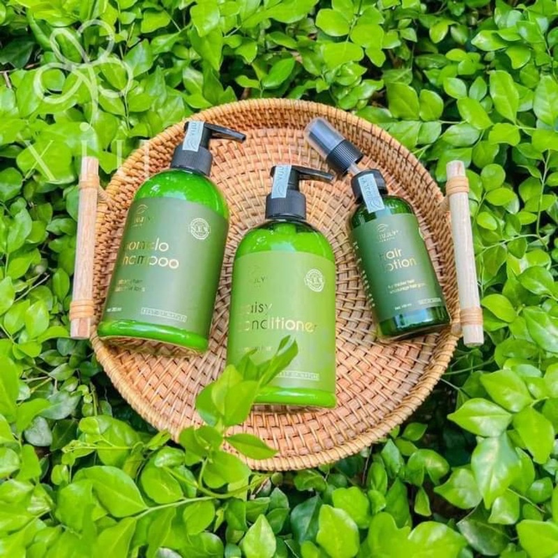 COMBO DƯỠNG TÓC VIJULLY TẶNG KÈM 1 LOTION BƯỞI | Shopee Việt Nam