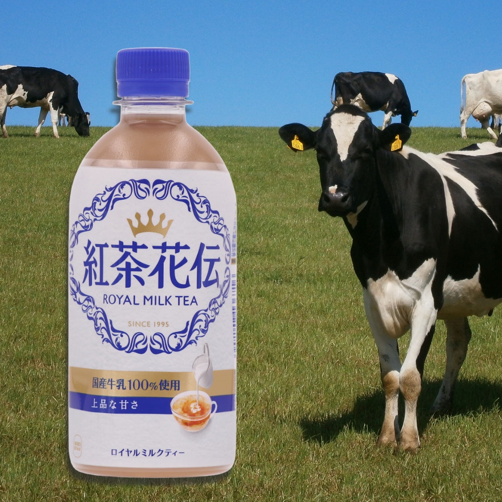 Mua TRÀ SỮA CÁC LOẠI | GENKI FOREST - CHI FOREST - ROYAL MILK TEA | TRÀ ...