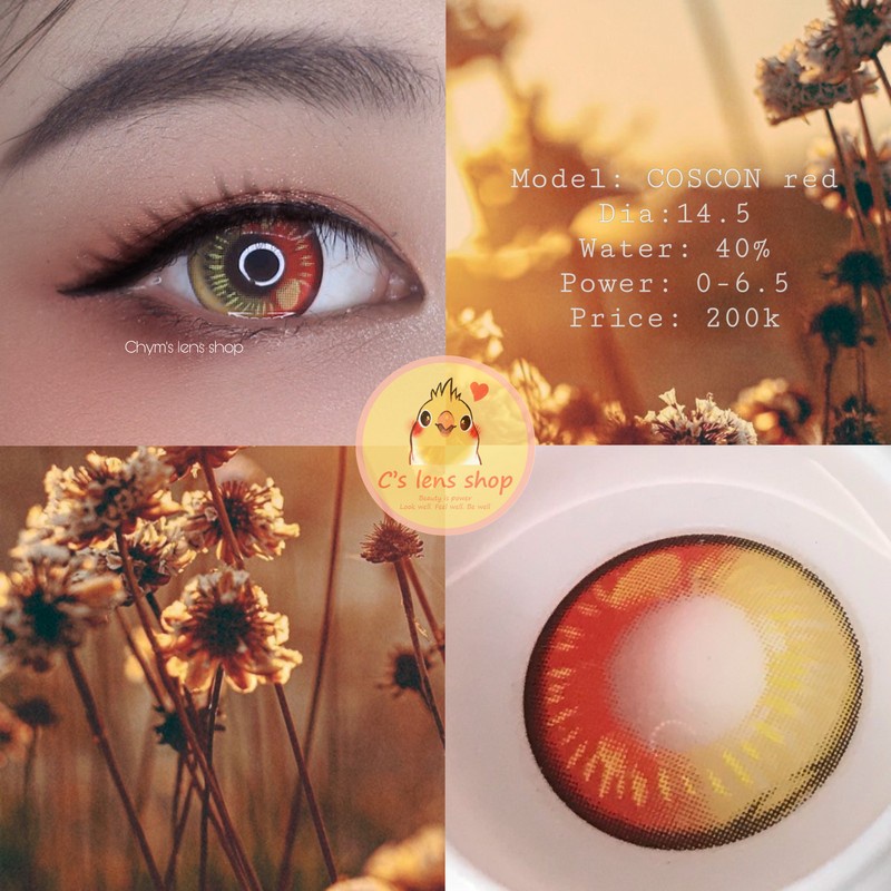 Lens mẫu COSCON màu ĐỎ, cận 0-8 [ KHÔNG BÁN LỆCH ĐỘ ] | Shopee Việt Nam