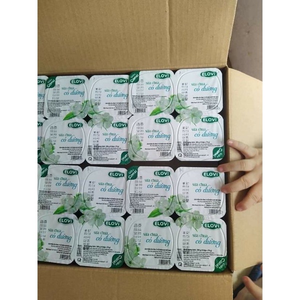 Elovi giá rẻ Tháng 3,2024|BigGo Việt Nam