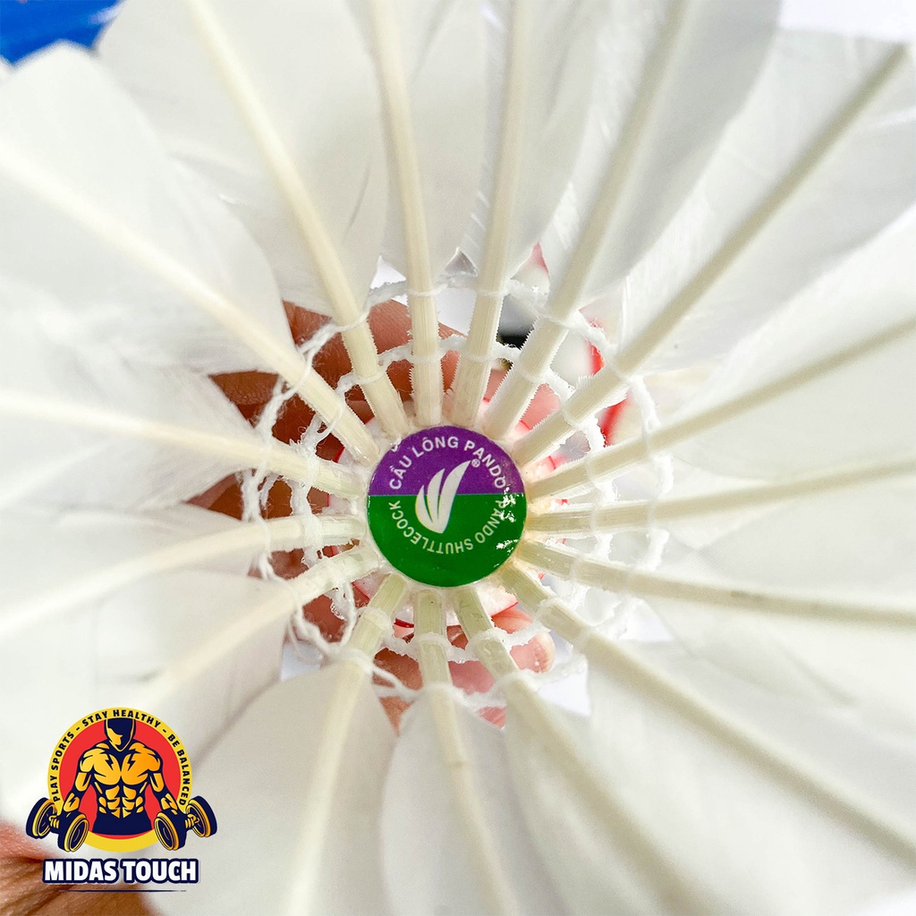 Mua Ống Cầu Lông Vũ Pando Tom and Jerry Giá Rẻ 6 trái 12 - Phù Hợp ...