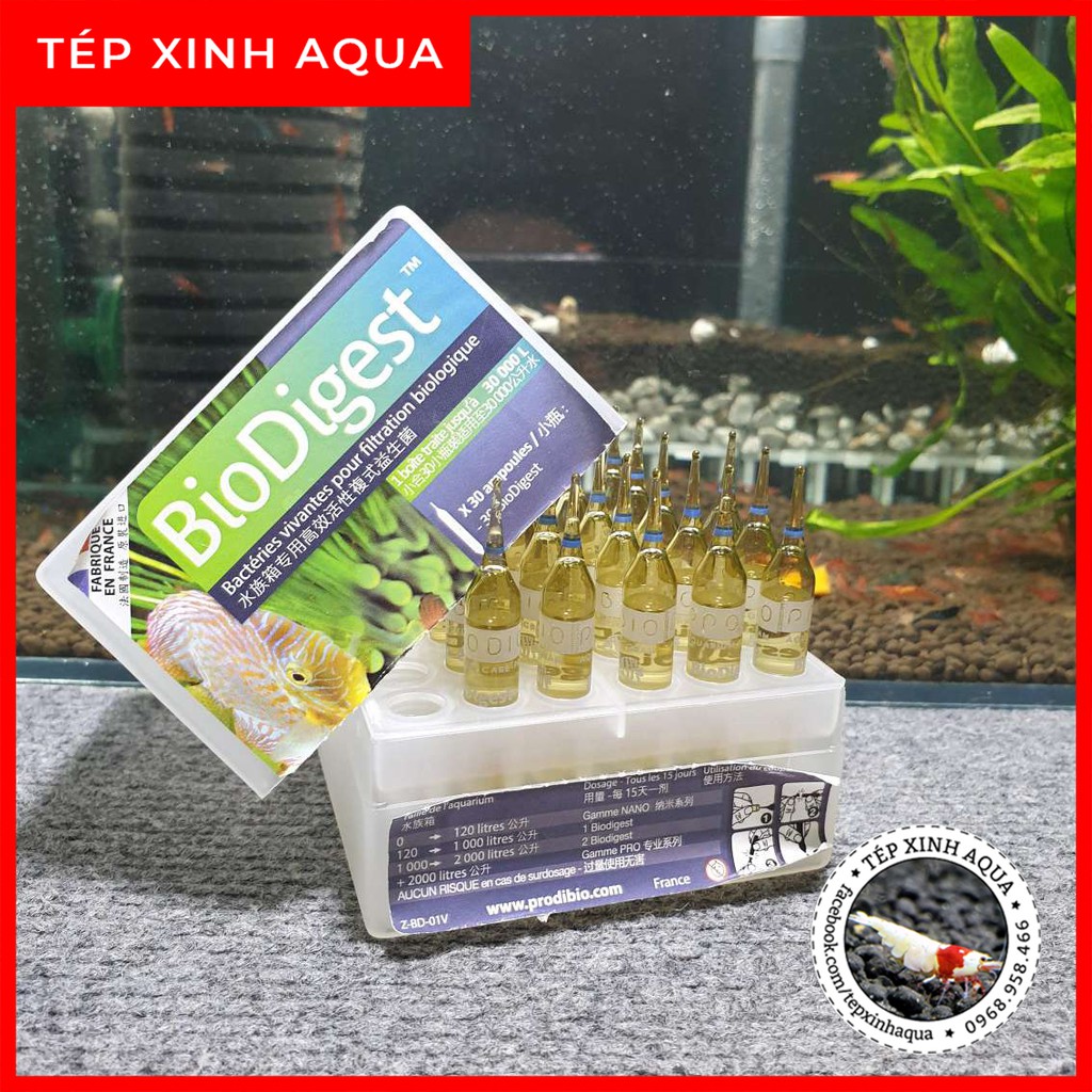 Vi sinh sống Bio Digest cho bể thủy sinh [TÉP XINH AQUA] | Shopee Việt Nam