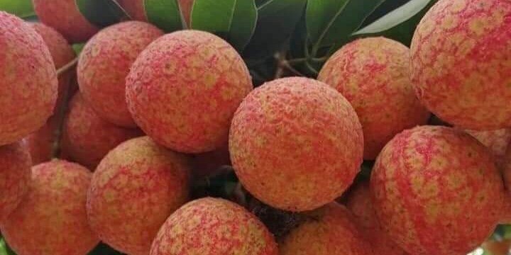 TADA FOODS - Nông Sản Việt, Cửa hàng trực tuyến | Shopee Việt Nam