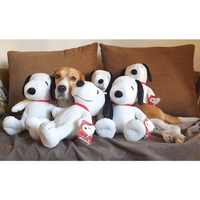 Thú nhồi bông Chó Snoopy | Shopee Việt Nam