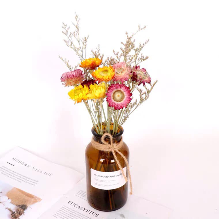 Mua hoa khô cúc bất tử, hoa cúc khô nguyên bó to giá rẻ nhất | TecKi.Vn