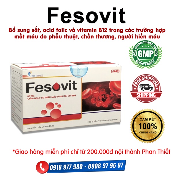 Bổ máu FESOVIT - Bổ sung sắt, acid folic và vitamin B12 do mất máu do ...