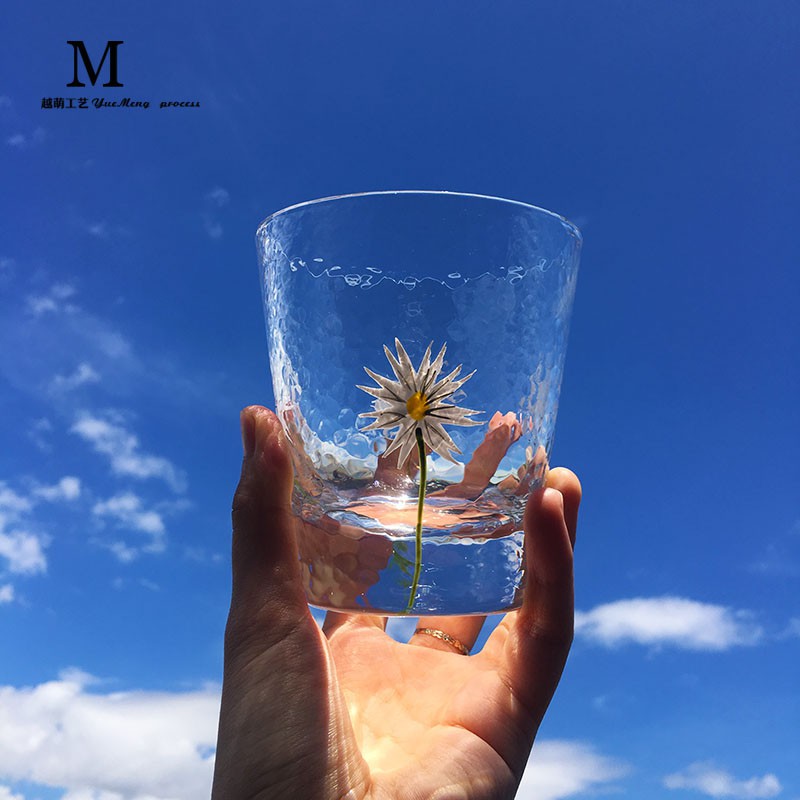 Ly Thủy Tinh Uống Rượu Uo9 In Hình Hoa Cúc Kiểu Nhật Bản Sáng Tạo ...