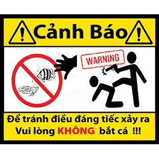 Mua Logo decal cảnh báo vui nhộn dán hồ cá cảnh có keo sẵn nhiều mẫu mã ...