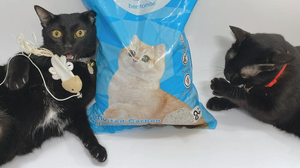 Cat Mun Shop, Cửa hàng trực tuyến | Shopee Việt Nam