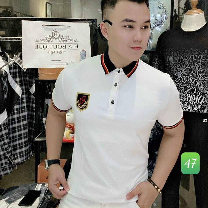 DP19 giá rẻ Tháng 7,2024|BigGo Việt Nam