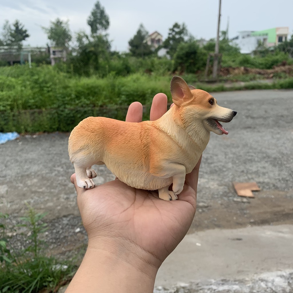 Mua Mô Hình Chó Corgi Màu Vàng Trắng Giống Thật giá rẻ nhất | TecKi.Vn