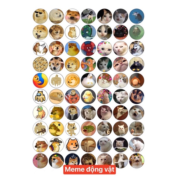 Mua Sticker khen thưởng - Mẫu meme động vật (cheems, mèo,...) giá rẻ ...