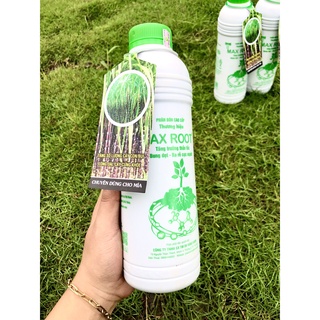 Phân Bón cho Mía MAX ROOT chai 1L - MẬP THÂN, RA RỄ, NỞ NỤI, ĐẺ NHÁNH, TĂNG ĐỘ NGỌT | Shopee ...