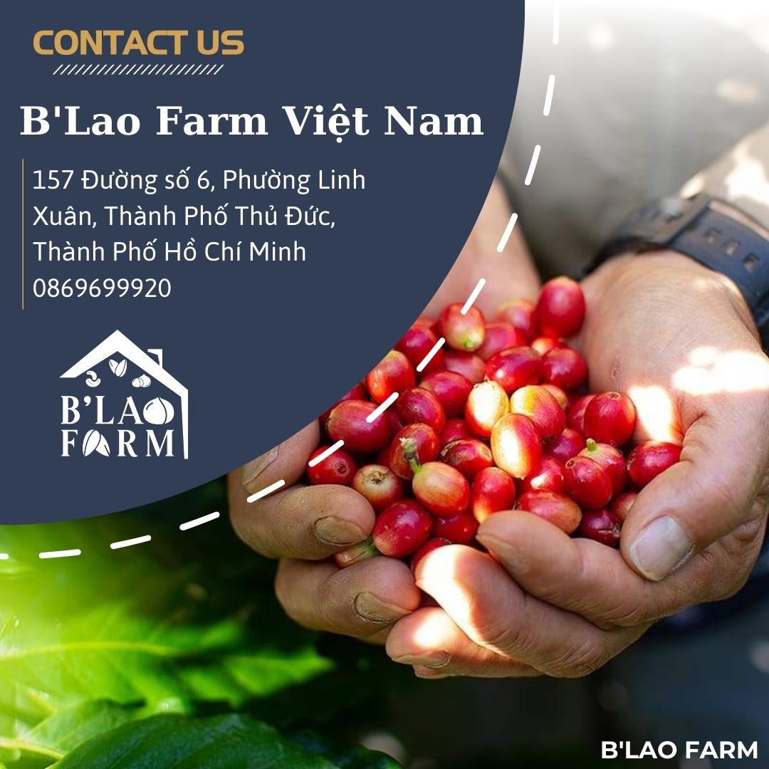 B'Lao Farm Việt Nam, Cửa hàng trực tuyến | Shopee Việt Nam