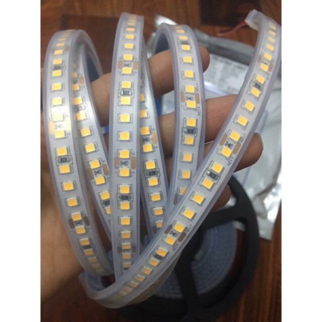 Led Cuộn 12v 5m Siêu Sáng Bọc Silicon Chống Nước 168led / mét | Shopee ...