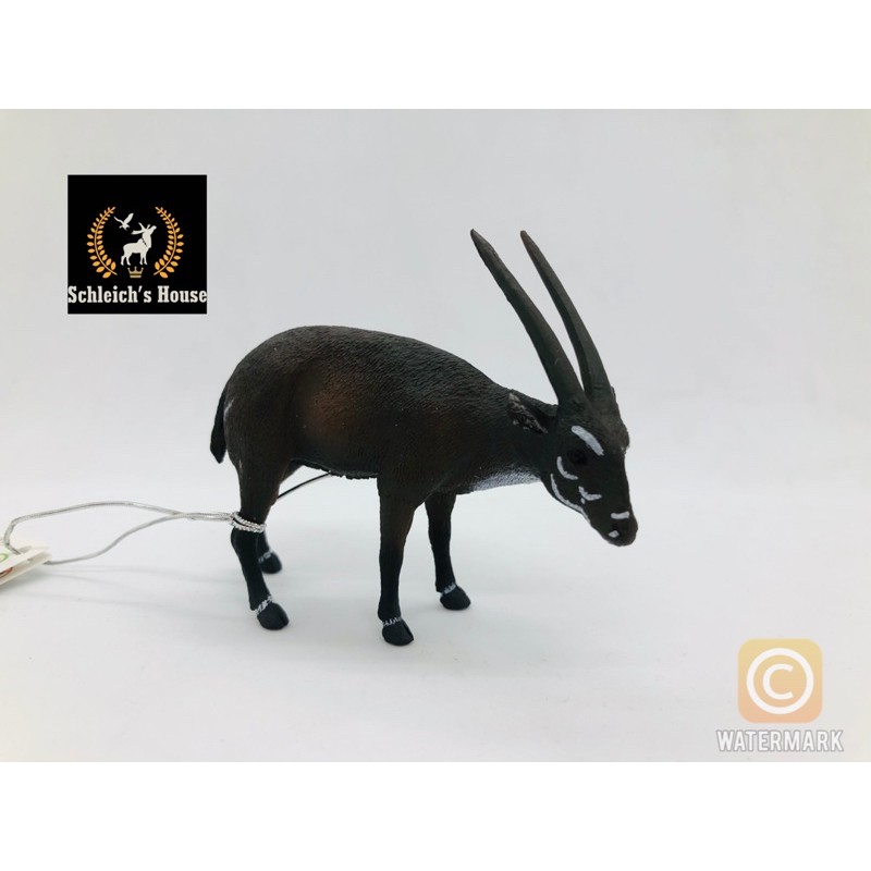 Mô hình động vật , đồ chơi con vật CollectA chính hãng Hươu nai Saola ...