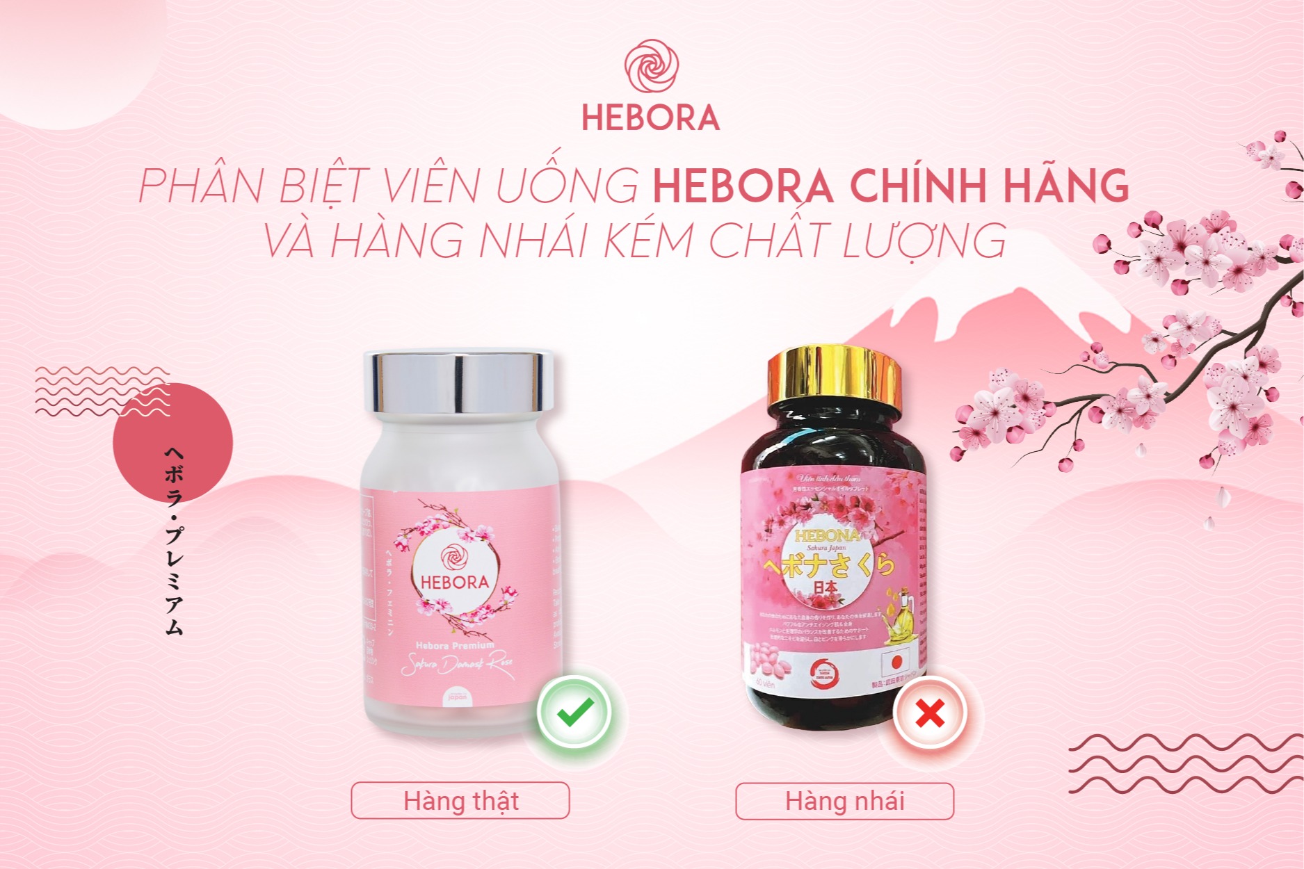Hebora Official - Shopee Mall Online | Shopee Việt Nam