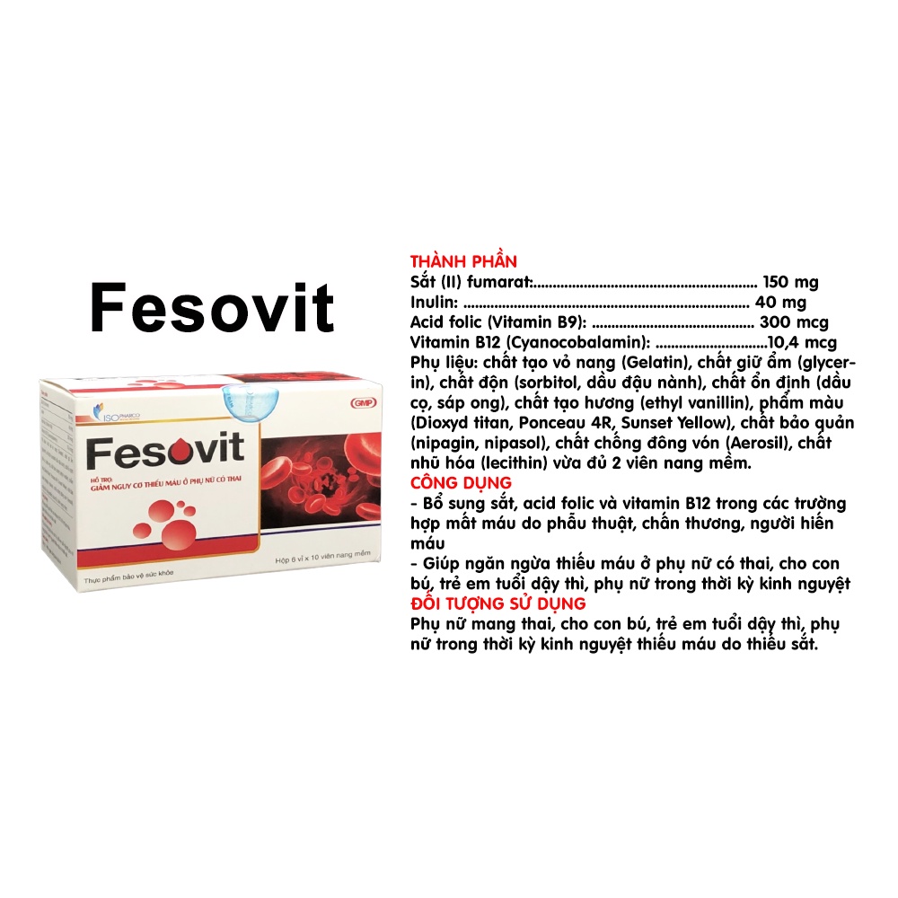 Bổ máu FESOVIT - Bổ sung sắt, acid folic và vitamin B12 do mất máu do ...