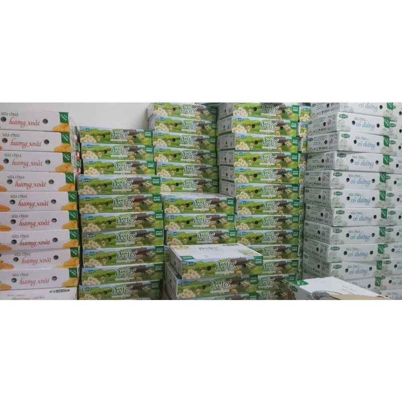 Elovi giá rẻ Tháng 6,2024|BigGo Việt Nam