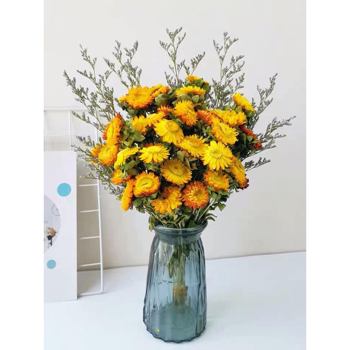 Mua hoa khô cúc bất tử, hoa cúc khô nguyên bó to giá rẻ nhất | TecKi.Vn