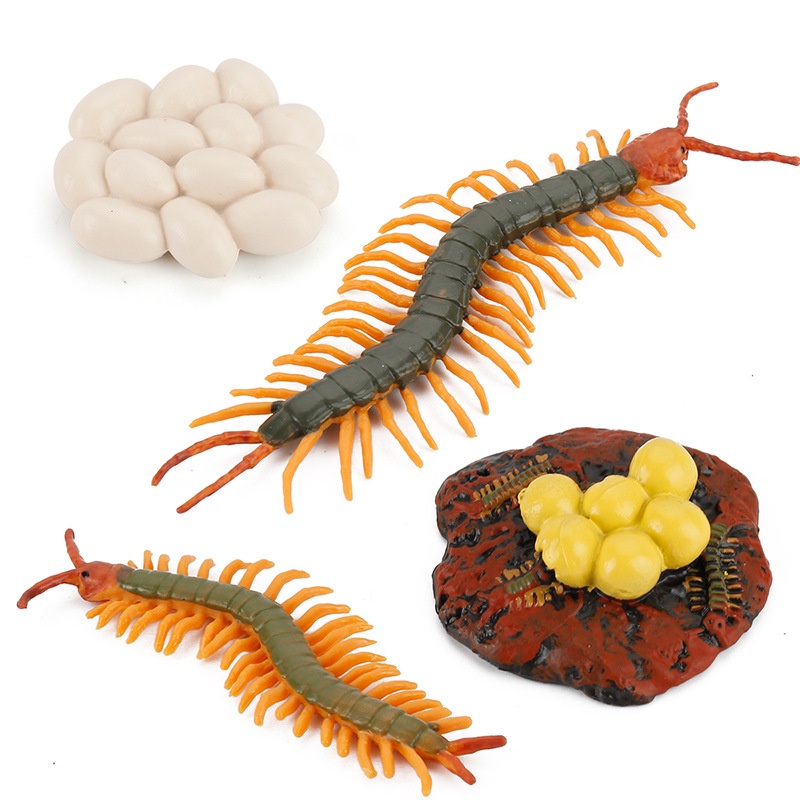 Manufacturers WholesaleSimulation of wild animals centipede growth ...