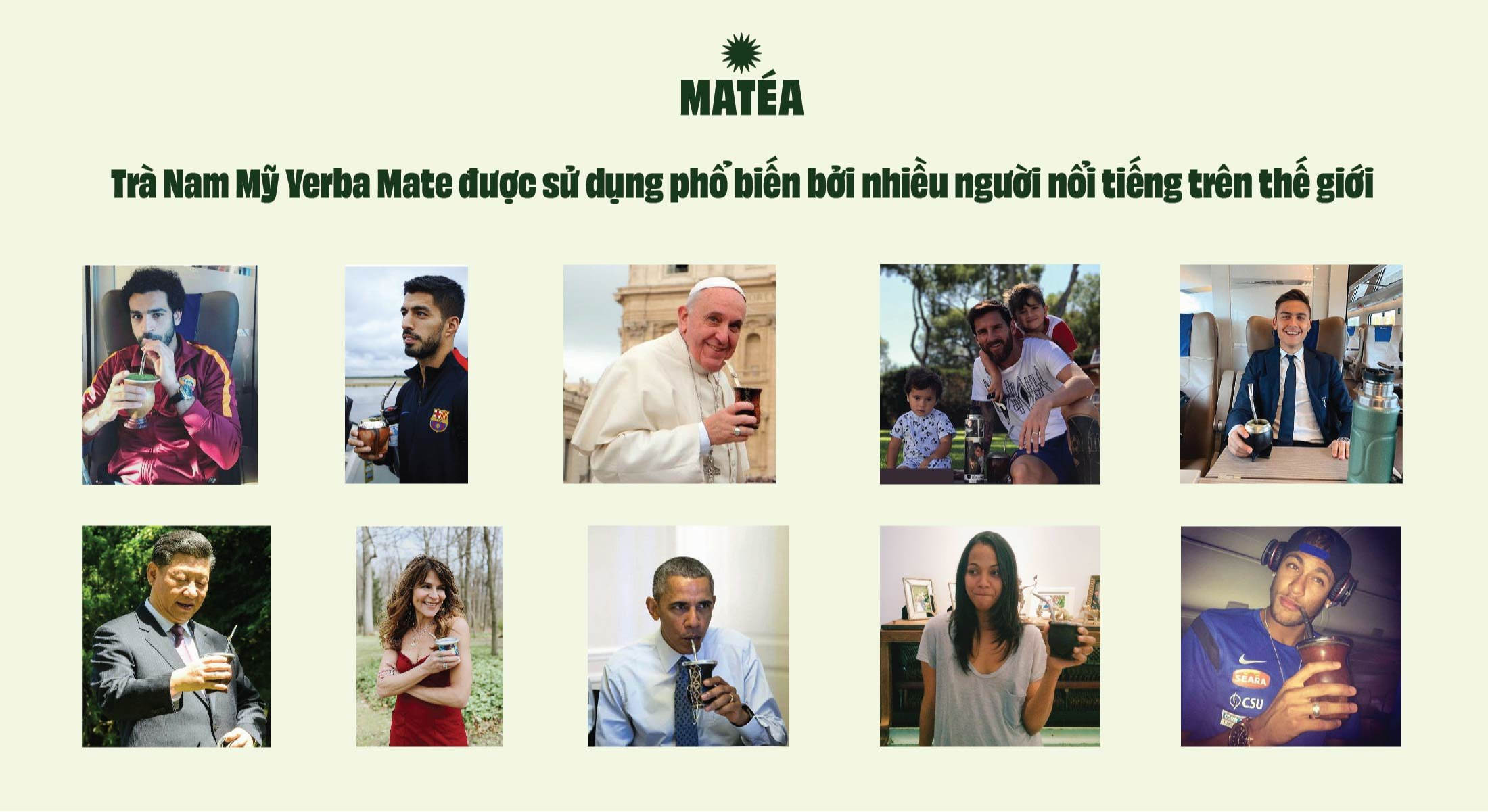 Matéa - Trà Nam Mỹ Yerba Maté, Cửa hàng trực tuyến | Shopee Việt Nam