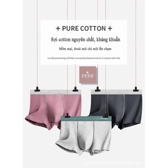 Miiow giá rẻ Tháng 6,2024|BigGo Việt Nam