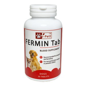 Fermin Tab (30 viên/ hộp) - viên bổ máu, bổ sung khoáng, vitamin kích ...
