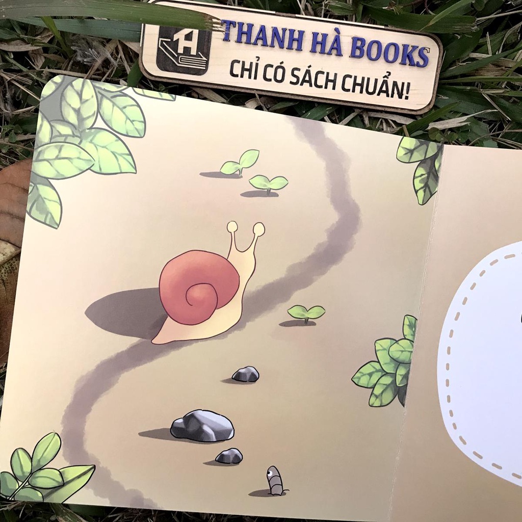 Mua Sách - Xa xa ngoài kia - Chú Ốc Sên nhỏ - Sách bìa cứng cho bé 0 ...
