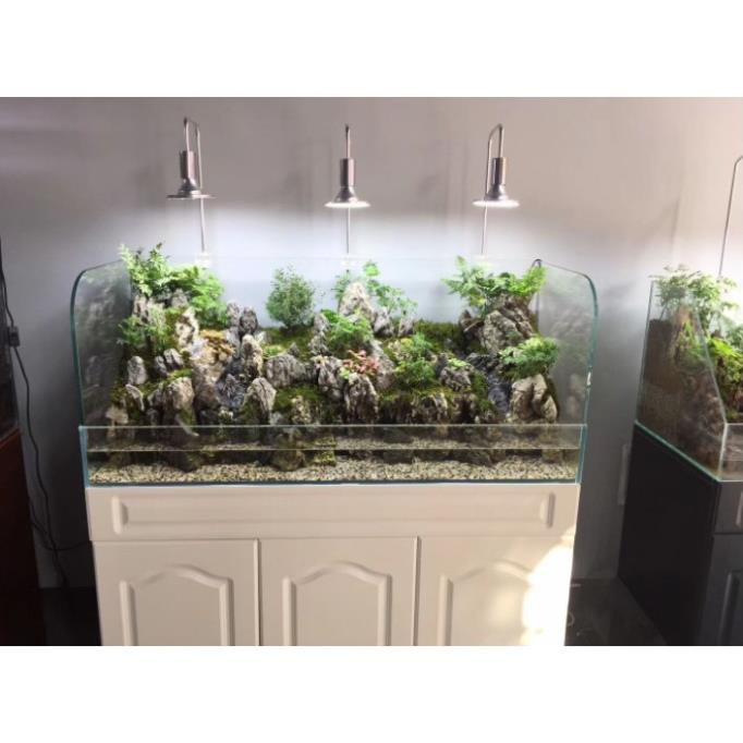 Xima giá tốt Tháng 12,2022|BigGo Việt Nam