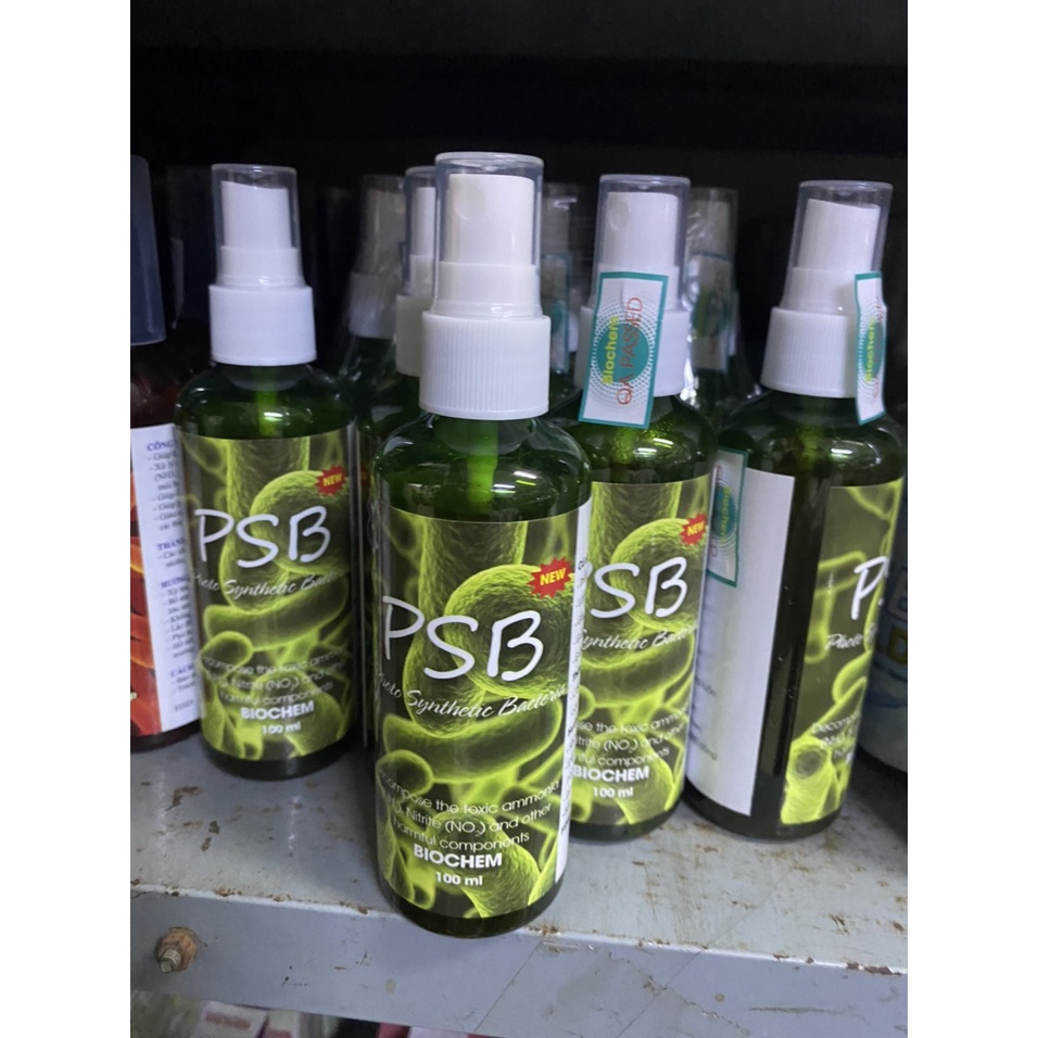 Hcmpsb xanh vi sinh cho hồ cá vi sinh giúp hồ cá trong nước vi sinh phiên