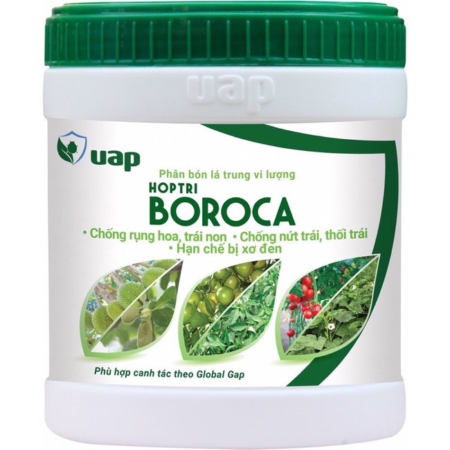 Boroca giá rẻ Tháng 12,2023|BigGo Việt Nam