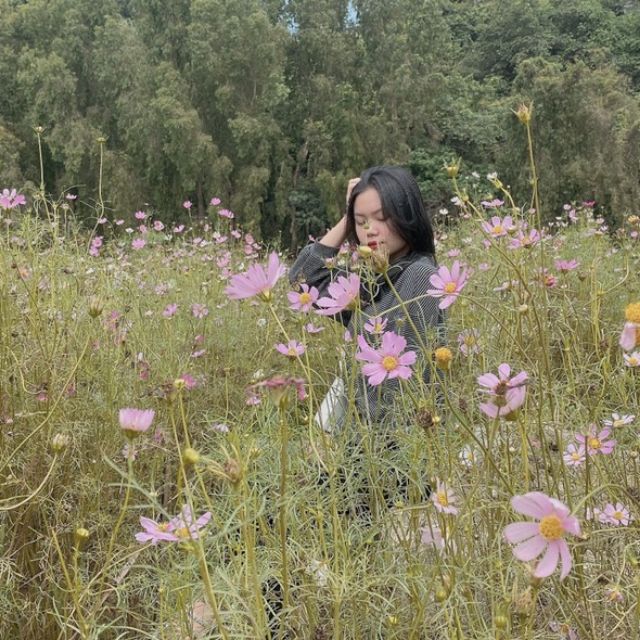 Hanny hanny shop, Cửa hàng trực tuyến | Shopee Việt Nam