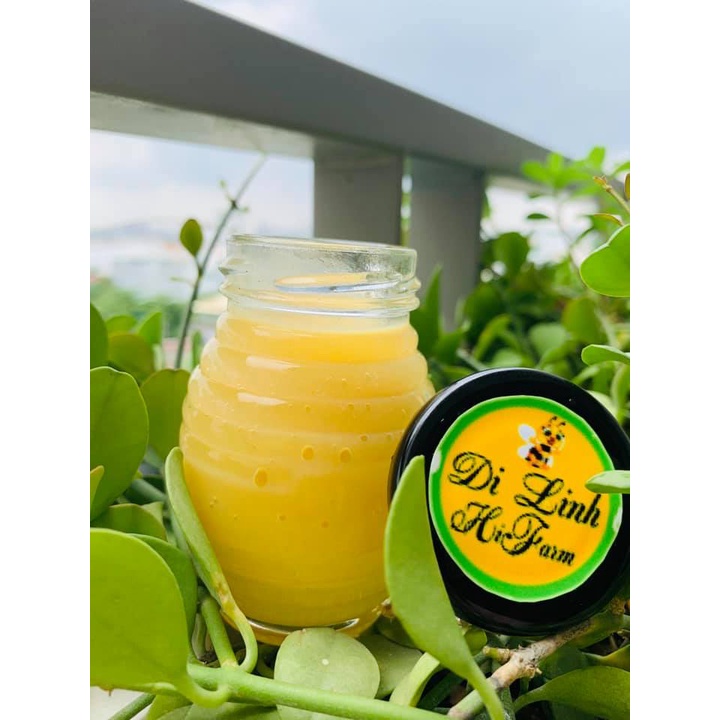 Hifarm giá rẻ Tháng 11,2023|BigGo Việt Nam