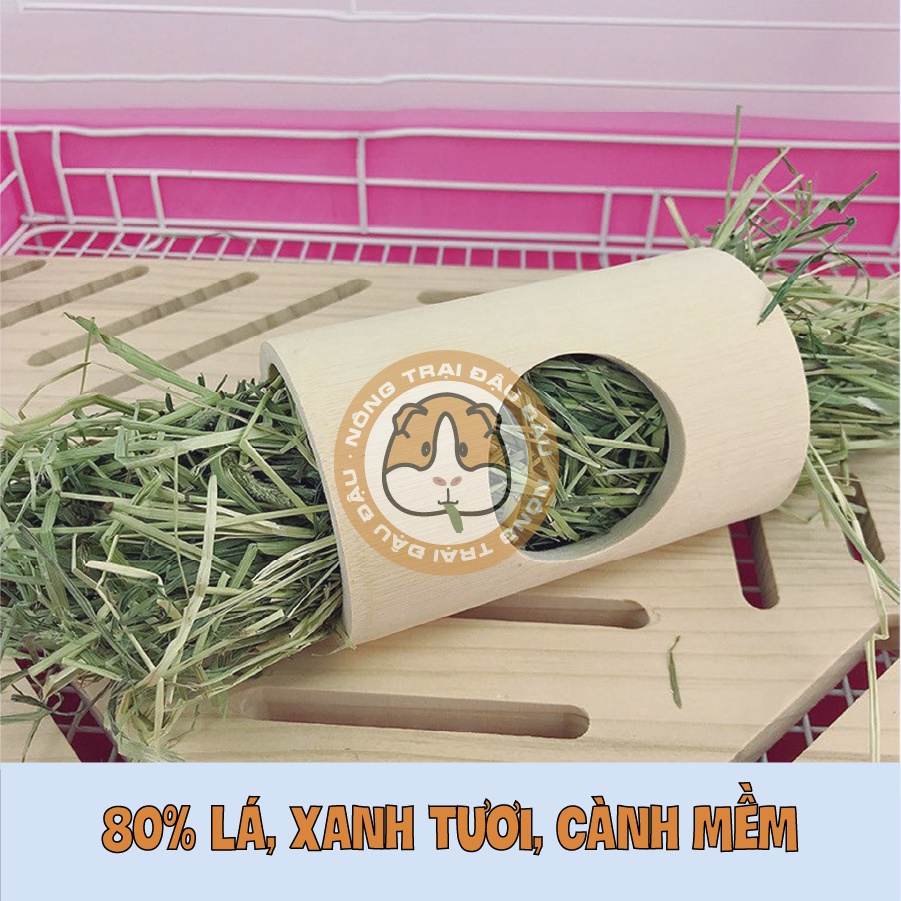 Cỏ Timothy Ward Rugh Nhiều Lá Cành Mềm Thức Ăn Cho Thỏ Bọ Ú Chinchilla ...